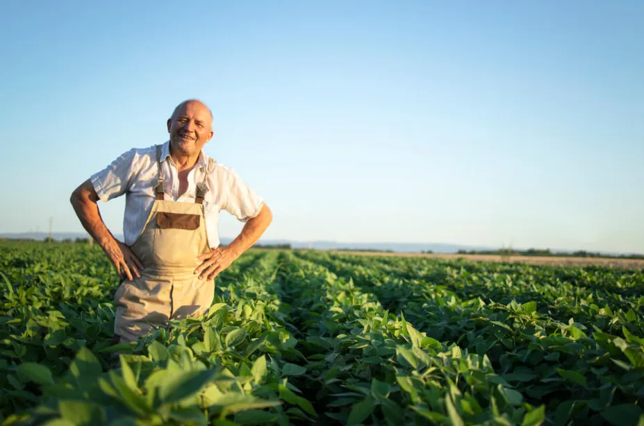 A Deep Dive into Low Doc Rural Farming Loans in Australia ...